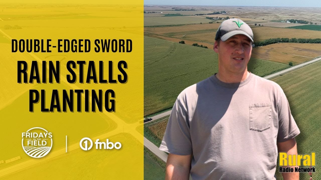 Double-edged sword: Much-needed rain stalls planting across Nebraska ...