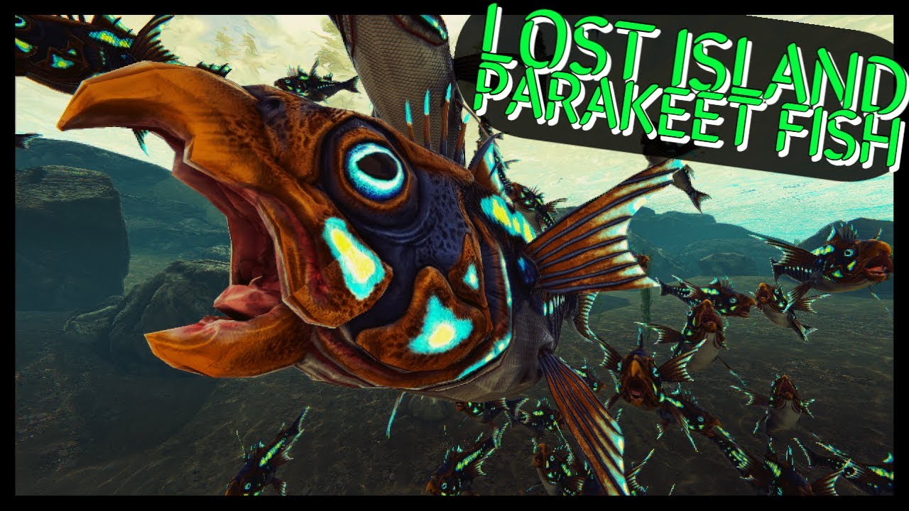 LOST ISLAND PARAKEET FISH ONLY LOCATION | Ark Survival Evolved - YouTube