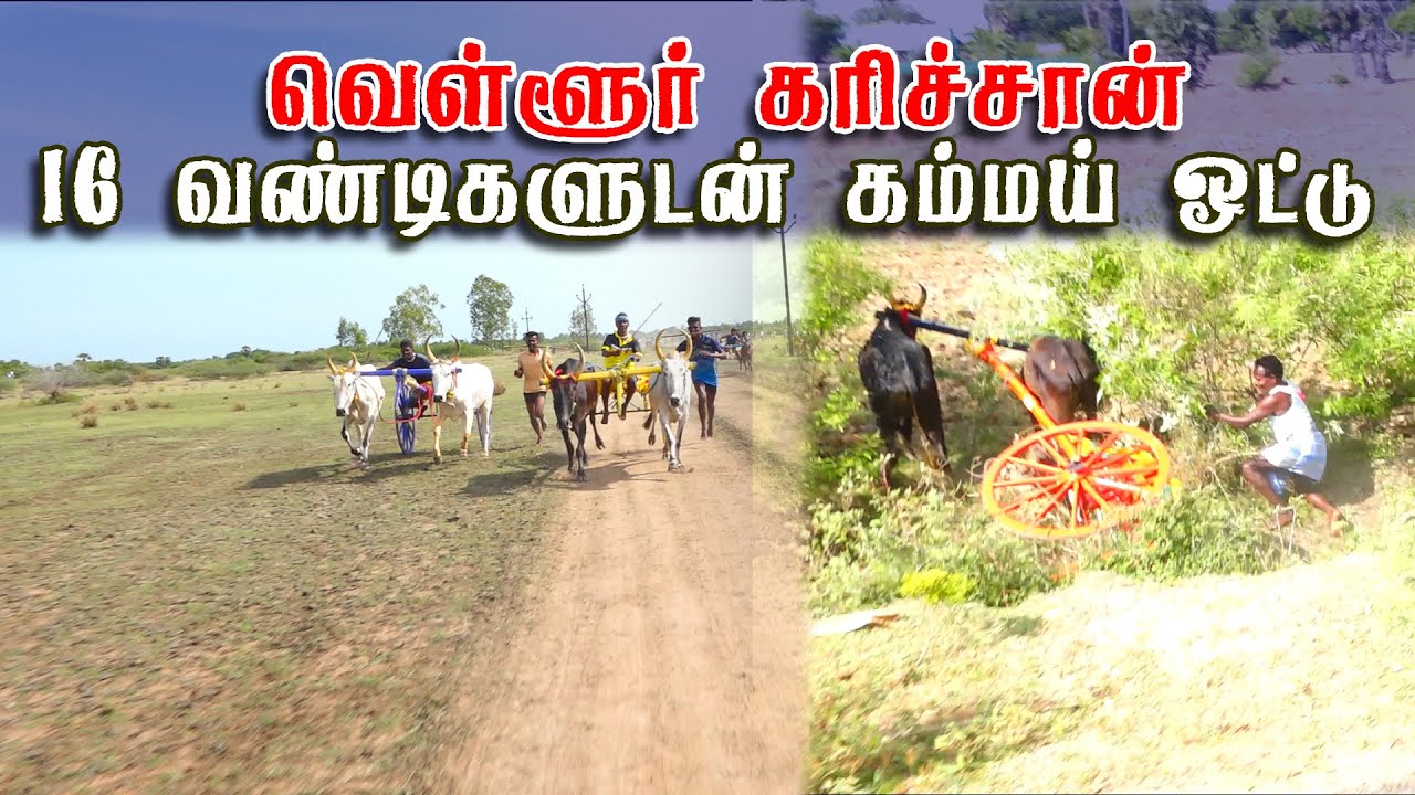 1வெள்ளூர்-சின்னமாடு_manamelkudi#vinayagastudio - YouTube