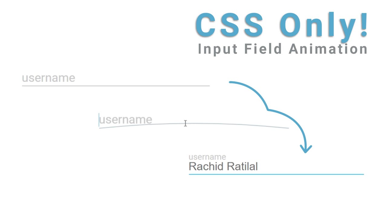 Css Input Field Animation Svg Line Animation Html And Css Youtube 8089