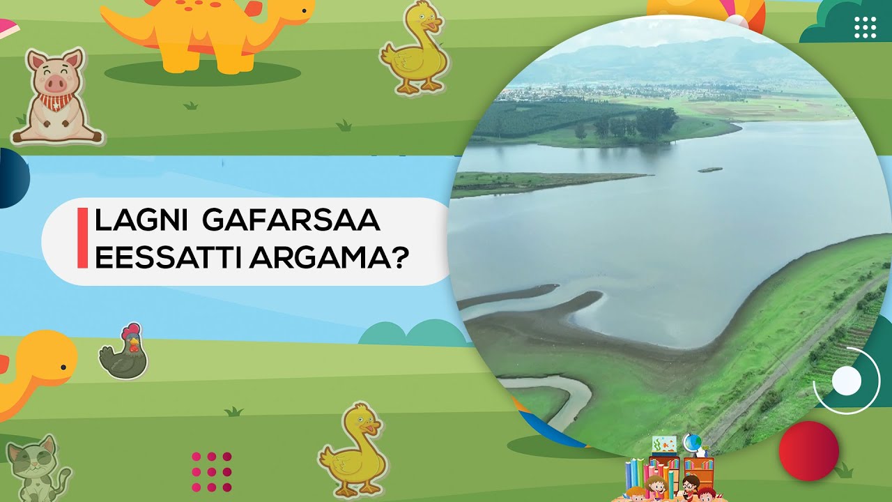 Qophii Oromiyaa - Gaammee - Lagni Gafarsaa eessatti argama ? - YouTube