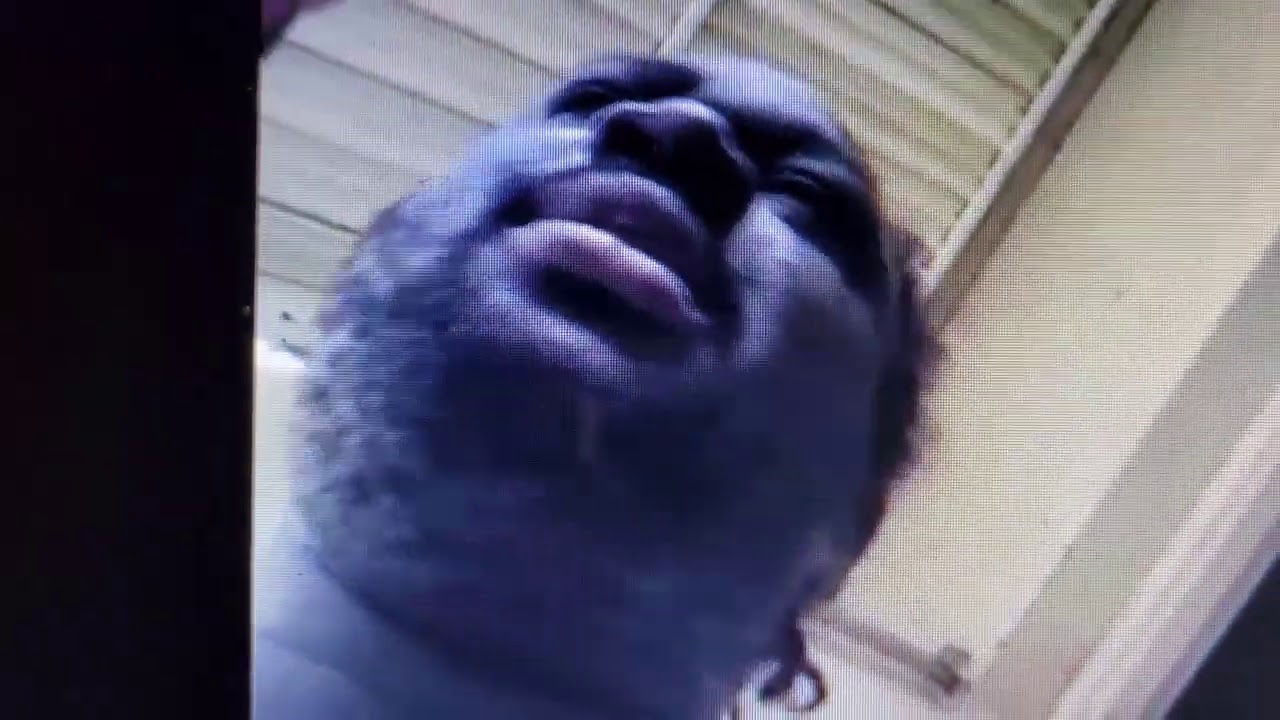 murder or suicide, Daniel Porter best friend just convict him self in ...