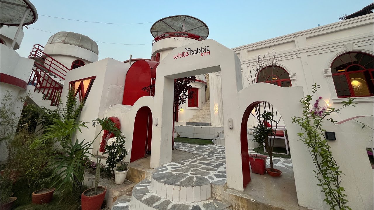 WHITE RABBIT | kathmandu | VLOG #whiterabbit #kathmandu #explore #fyp - YouTube