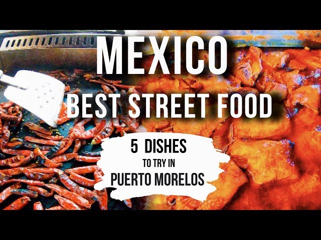 Puerto Morelos Mexico Food CLOSED: Layla Restaurant Plants & Mushrooms