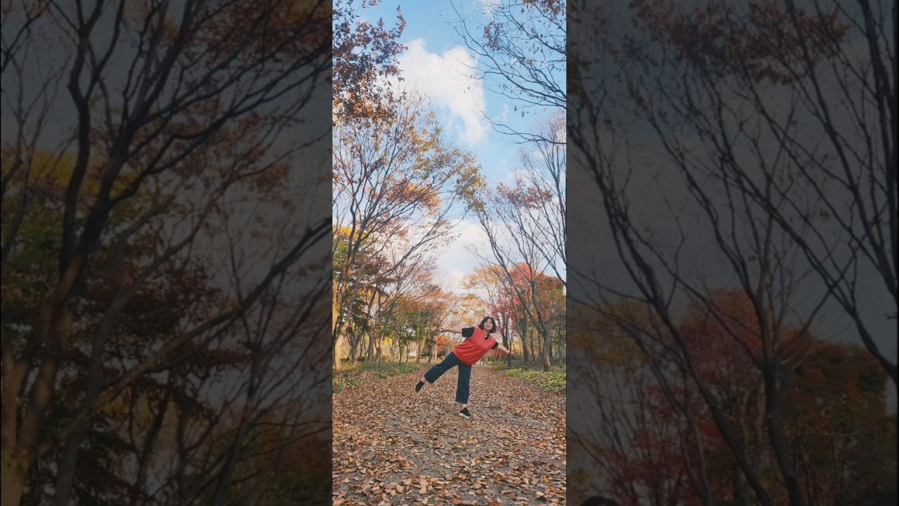 2024년 11월 4일 - YouTube