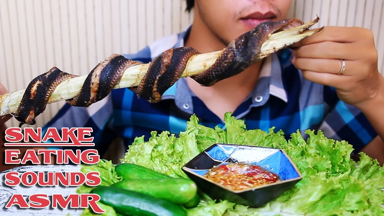 ASMR GRILLED SNAKE , EATING SOUND | BINH ASMR - YouTube