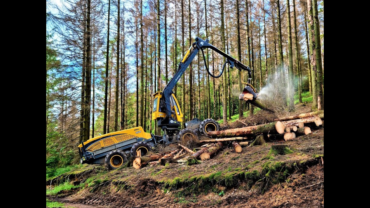 🌲 *long WOLF in Action* • WFW Ecolog 688E • Harvester in Action ...