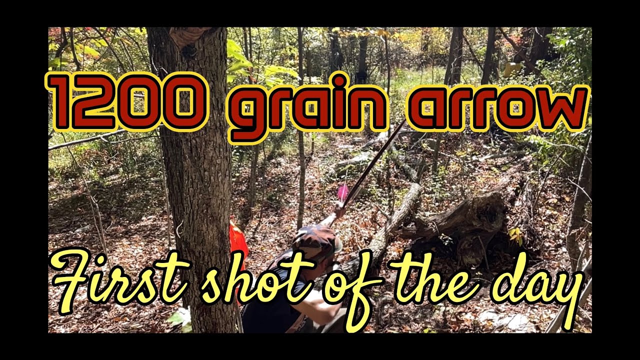 Traditional Archery practice with adult arrows. FSOTD - YouTube