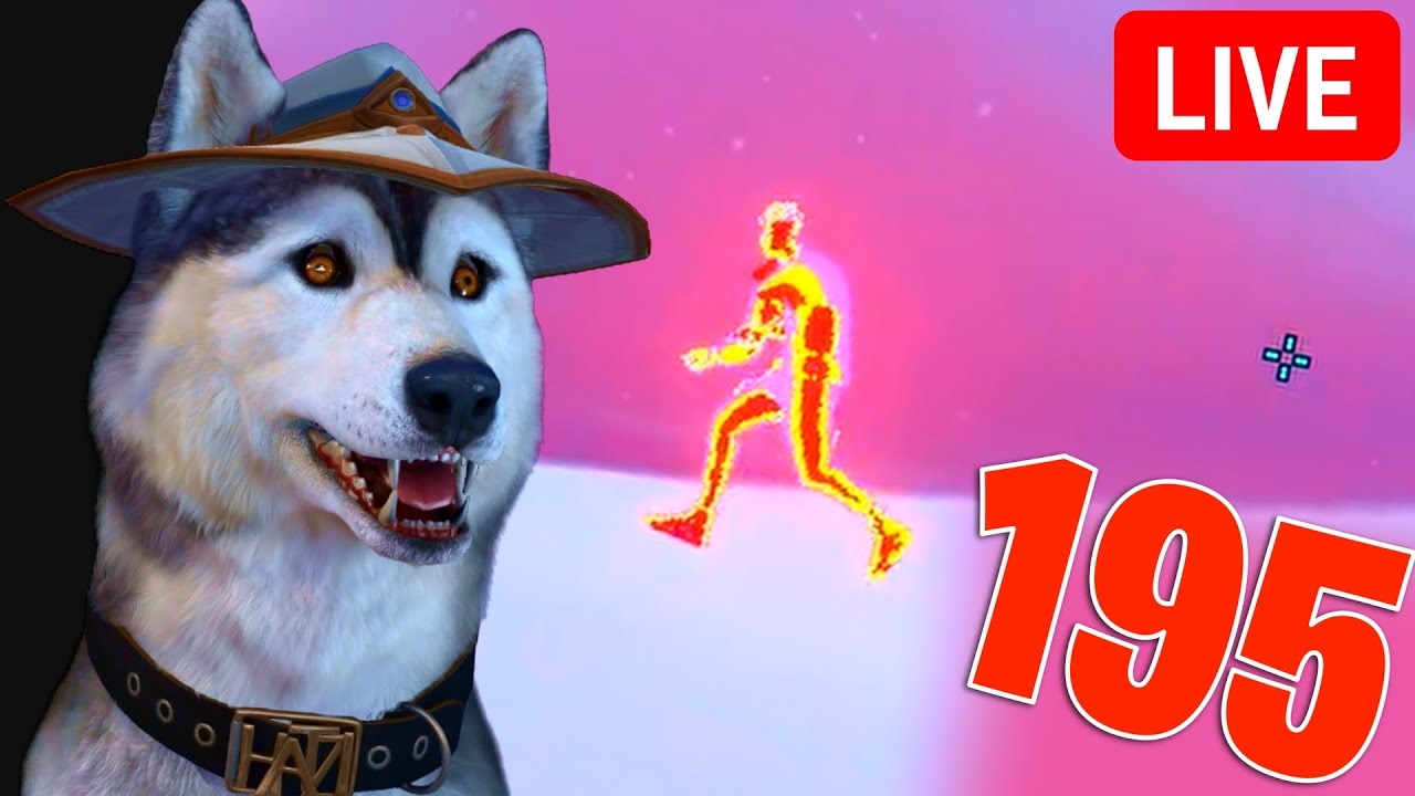 the dog streamer that ruined valorant... - YouTube