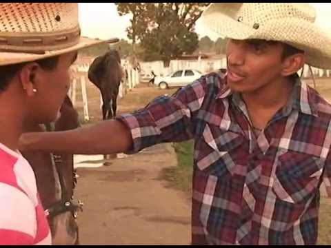 AVIÄO DO VAQUEIRO. RESPOSTA DA CALCINHA