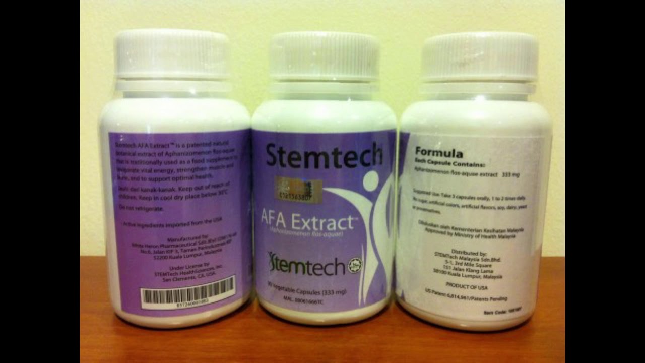 Khasiat dan Manfaat Stemtech Afa Extract - YouTube