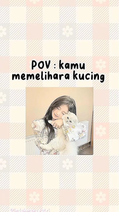 pov : kamu memelihara kucing | pilih yaw #pov #kucinglucu #fyp #pilihyangmana #subscribe #fypシ ...