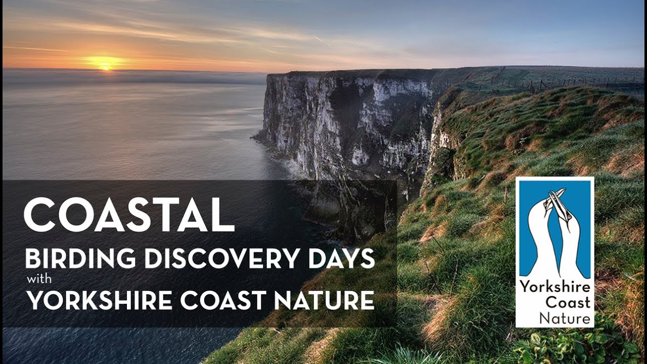 Yorkshire Coast Nature - Coastal Birding Discovery Days - YouTube