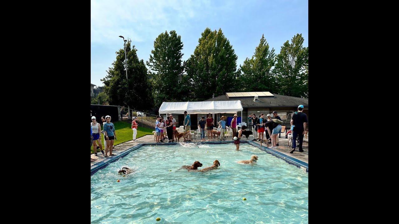 See Spot Splash at Peter Kirk Pool - YouTube