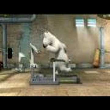 Bear on running machine