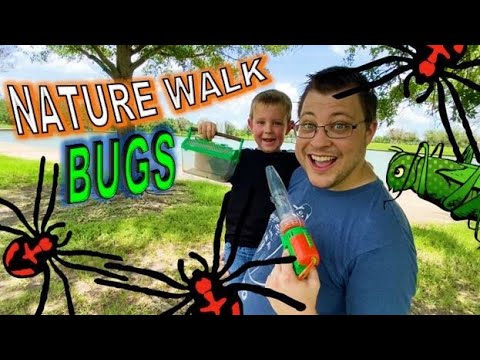 Nature Walk BUG HUNT for KIDS!! Spiders, KATYDID, Earwigs, BUTTERFLIES ...