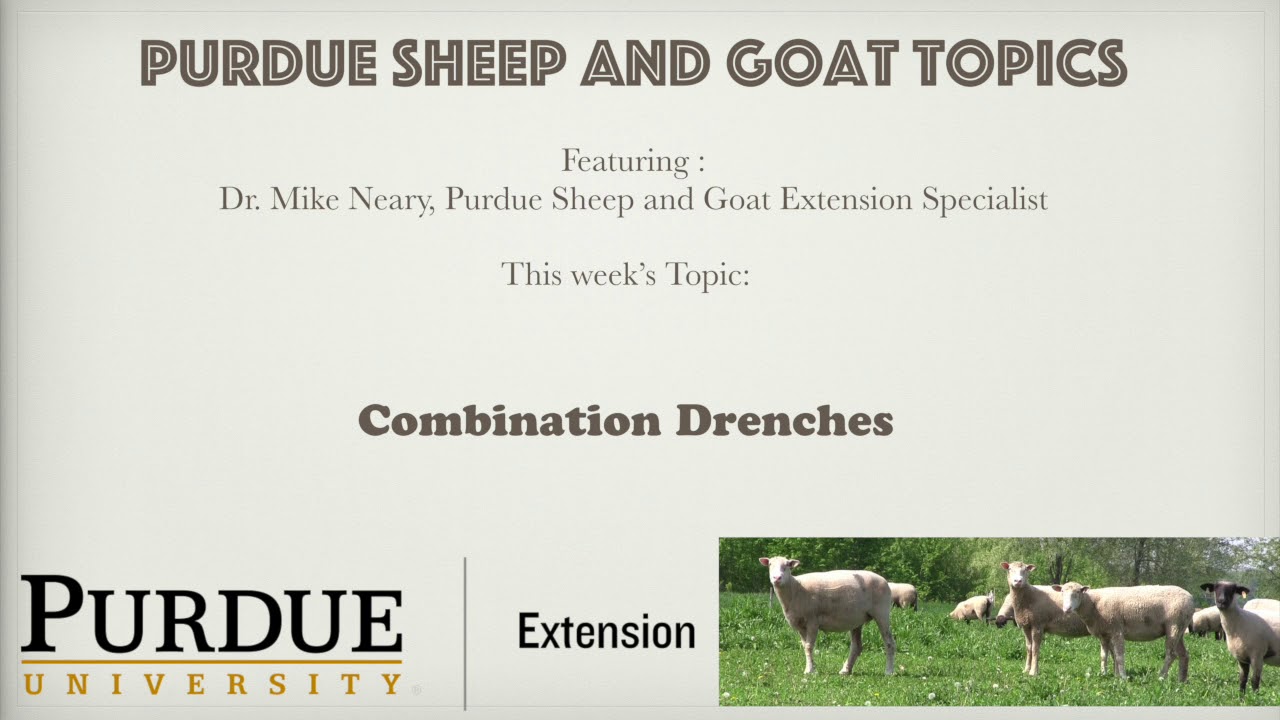 The Purdue Sheep and Goat Topics-Using combination drenches for the ...