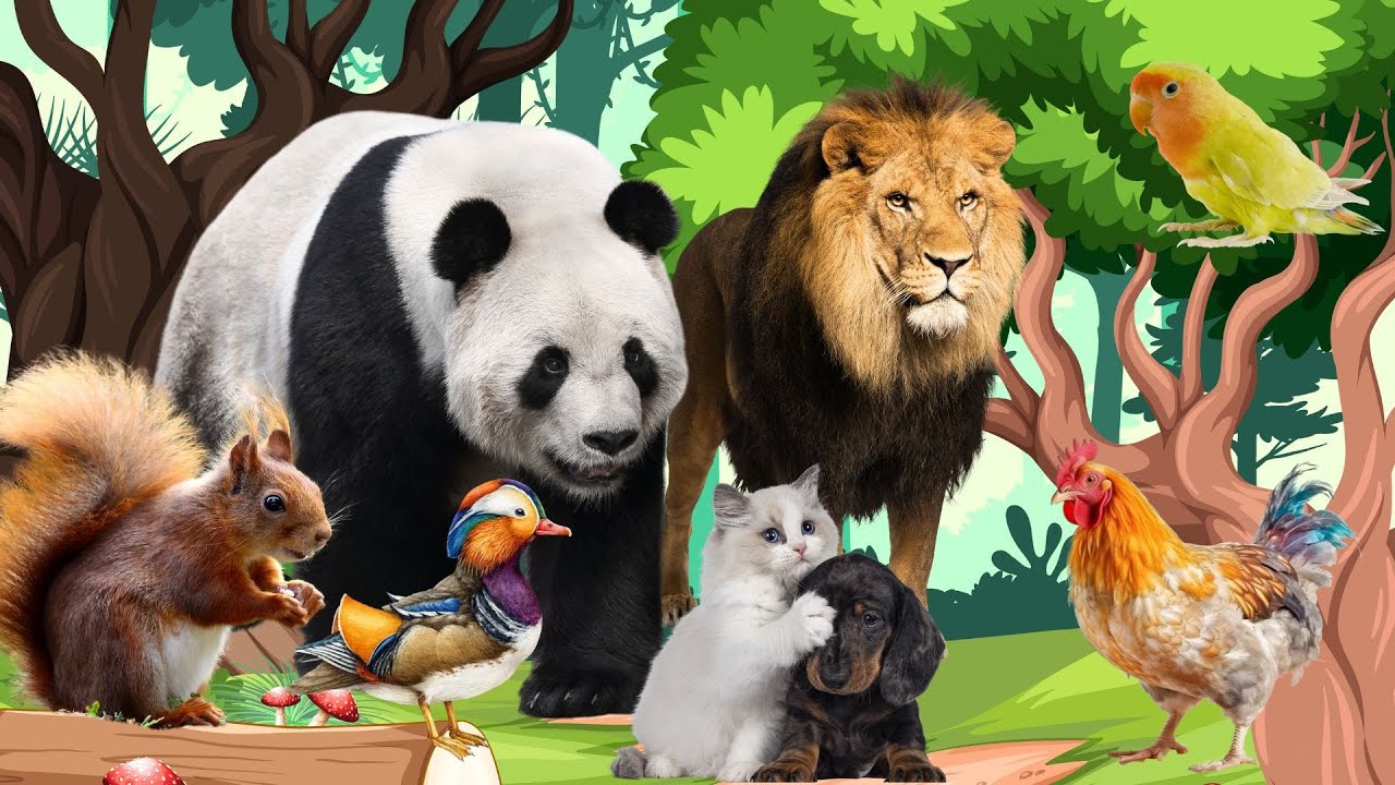 Precious animals in nature - YouTube