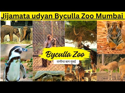 Explore Mumbai's Byculla Zoo: Full Tour at Jijamata Udyan 🎉 - YouTube