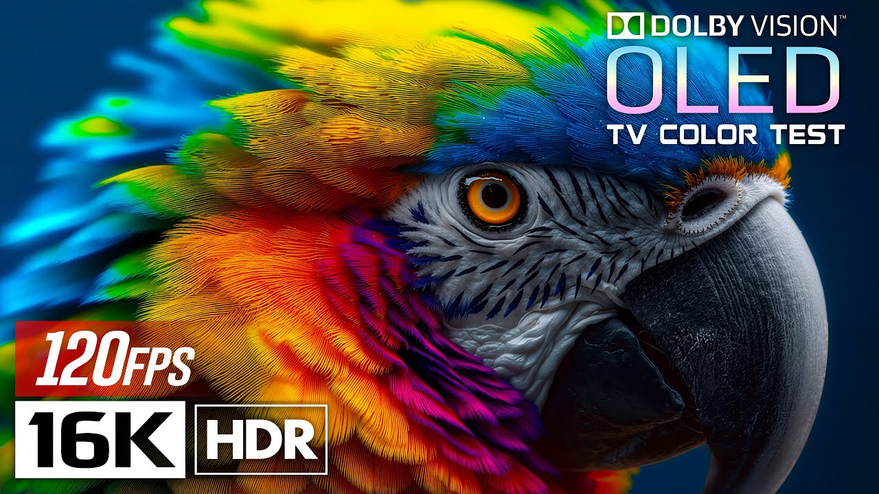 Ultimate 16K HDR Video 120 FPS | Dolby Vision OLED Test Demo - YouTube