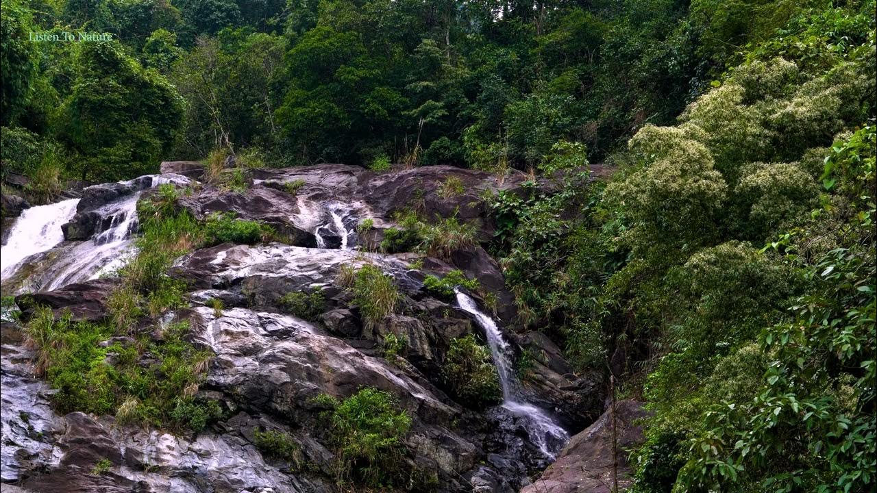 The beautiful sound of the waterfall. The sound of birds chirping ...