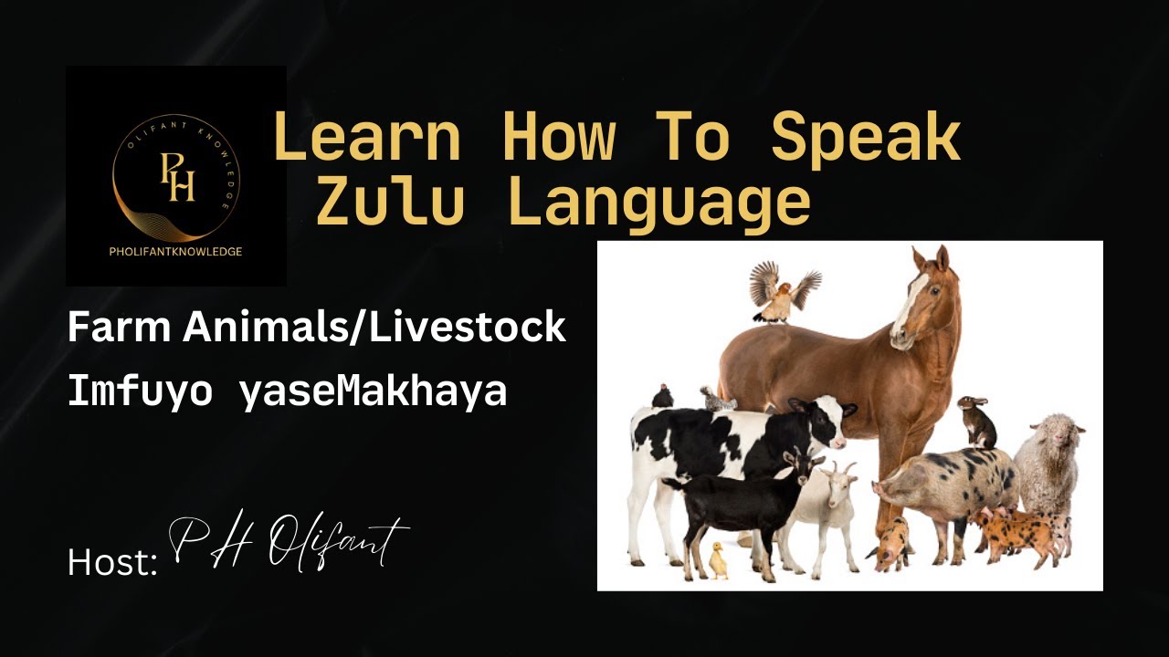 Farm Animals/Imfuyo Lesson 14 - YouTube