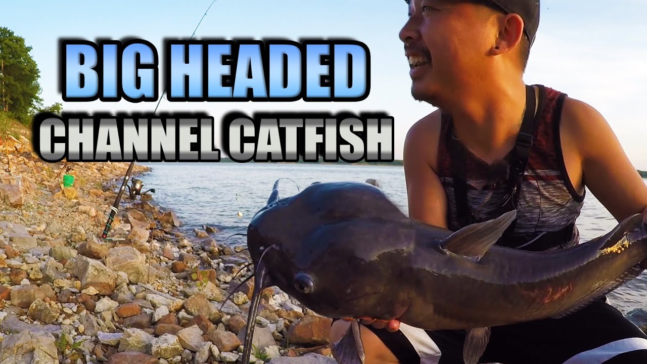 Fishing for Big Headed Channel Catfish - YouTube