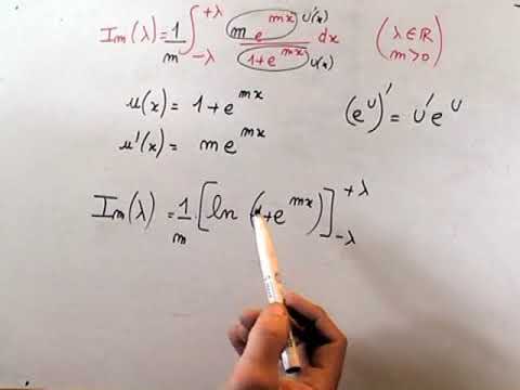 CALCUL INTEGRAL AVEC EXPONENTIELLE : MATHS TS - YouTube