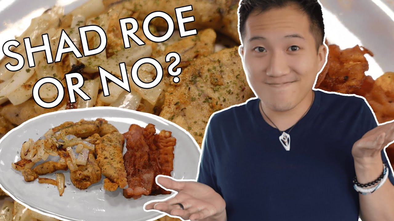 Is it worth it to try eating baked shad or fried shad roe? - YouTube