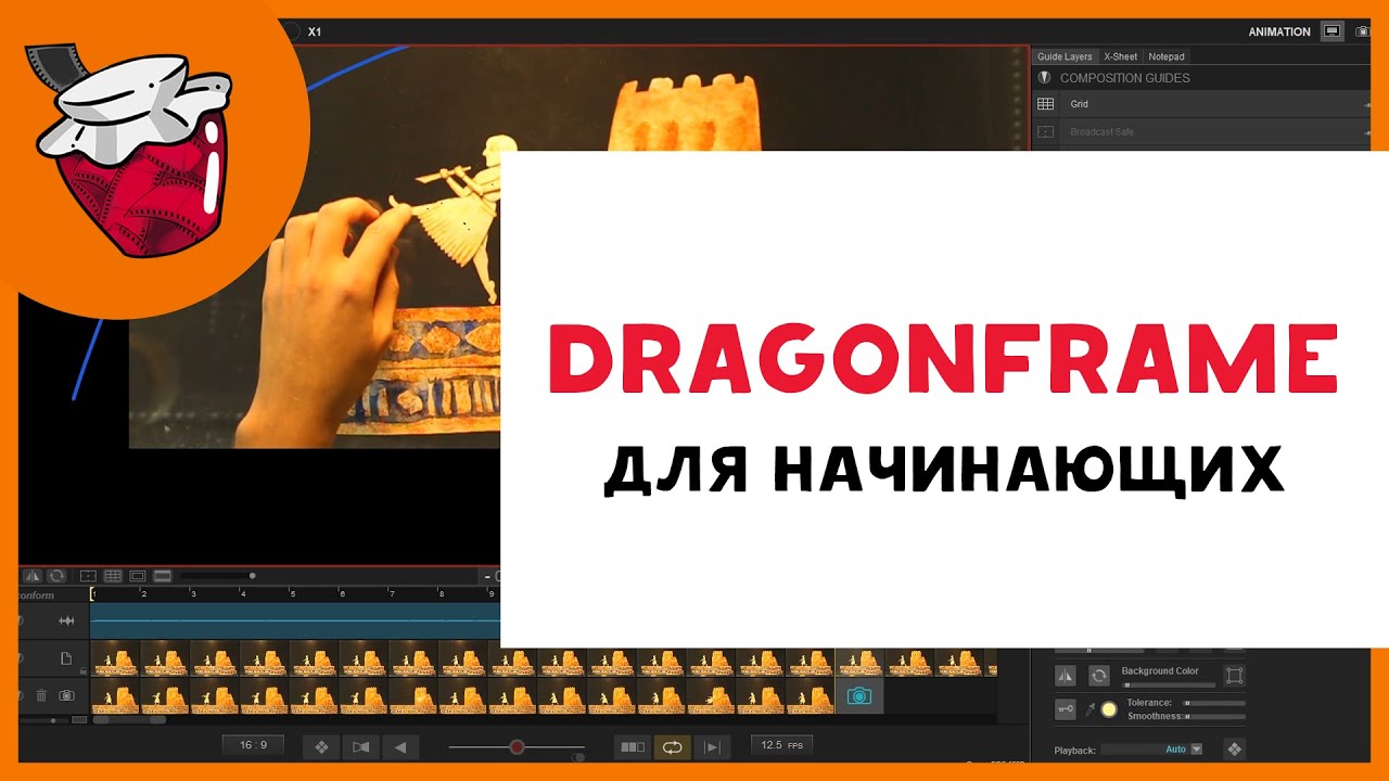 Dragonframe ДЛЯ НАЧИНАЮЩИХ - YouTube
