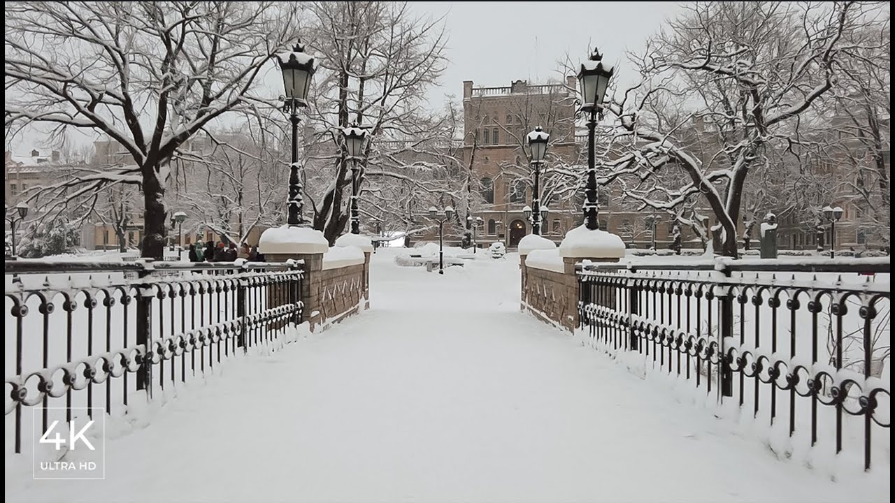 Walking in the Winter Snow, Snowfall in Riga, Latvia [4K] - YouTube