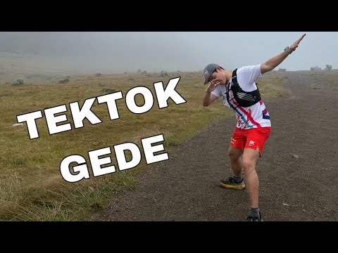 tektok gunung gede via putri perdana 2025 akhirnya kembali lagi ke taman bermain hehe