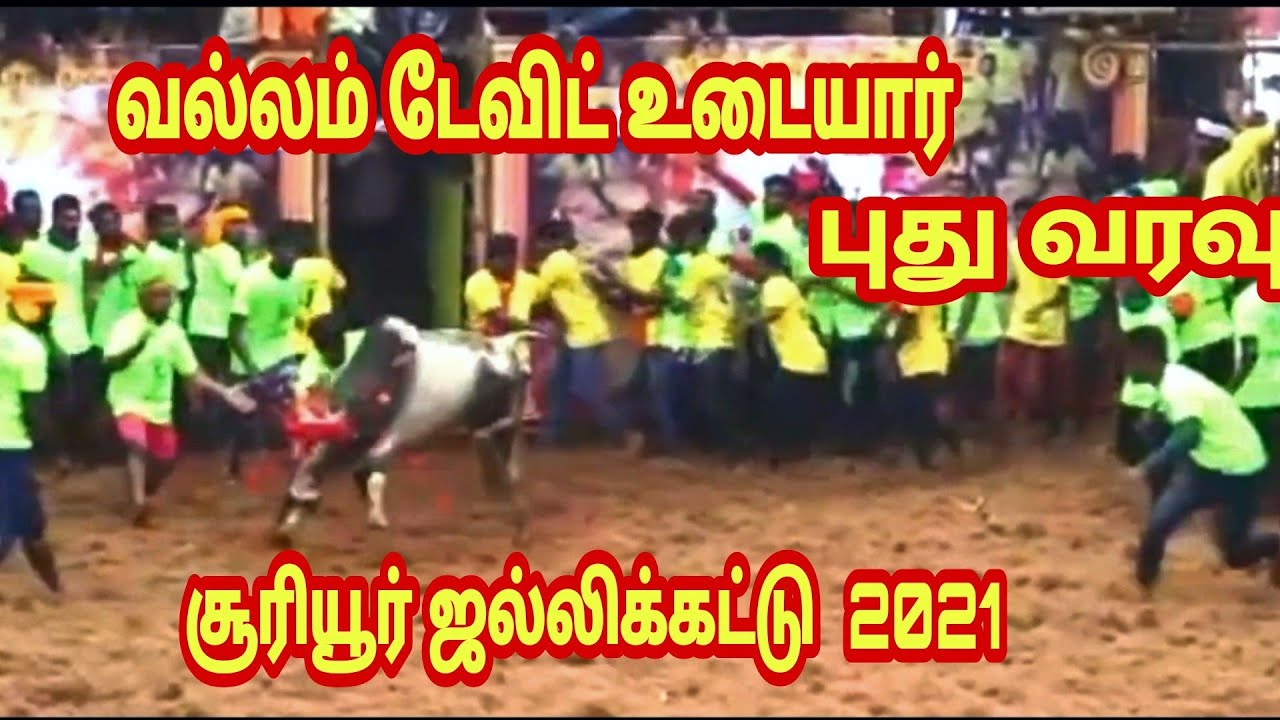 vallam David udayar kaalai - suriyur Jallikattu 2021 #jallikattu2021 # ...