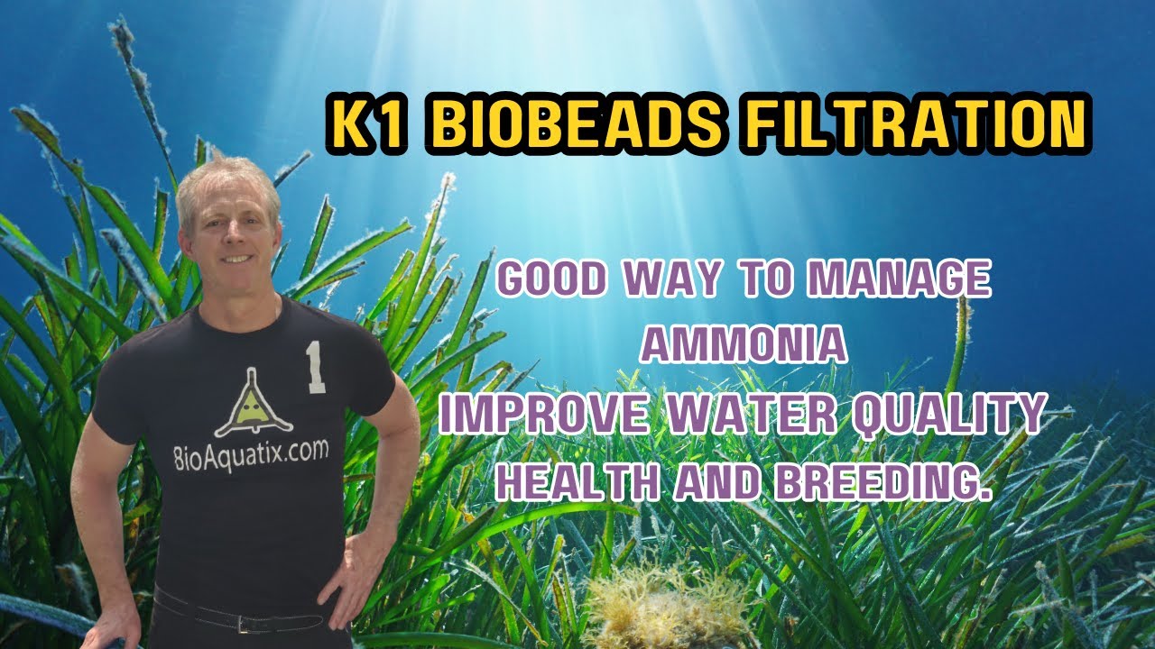 Unsing K1 Biobeads for filtration - YouTube
