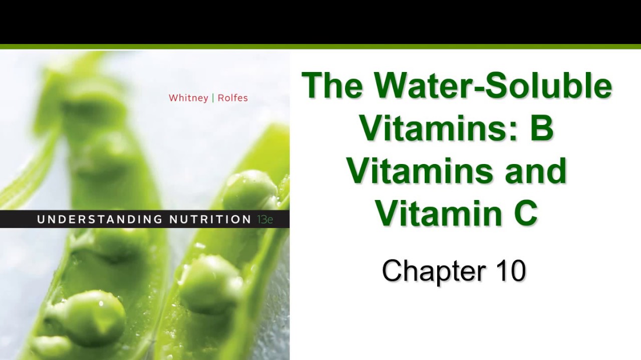The Water Soluble Vitamins (Chapter 10) - YouTube