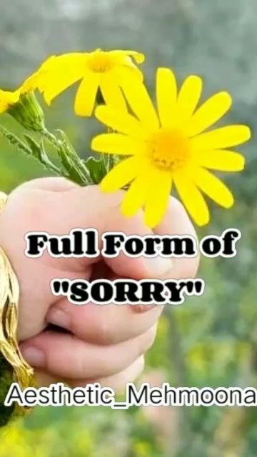 Full Form of sorry #aesthetic #short#shortvideo - YouTube