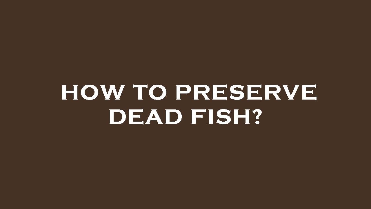 How to preserve dead fish? - YouTube