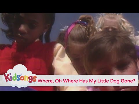 Kidsongs - Where, Oh Where Has My Little Dog Gone?