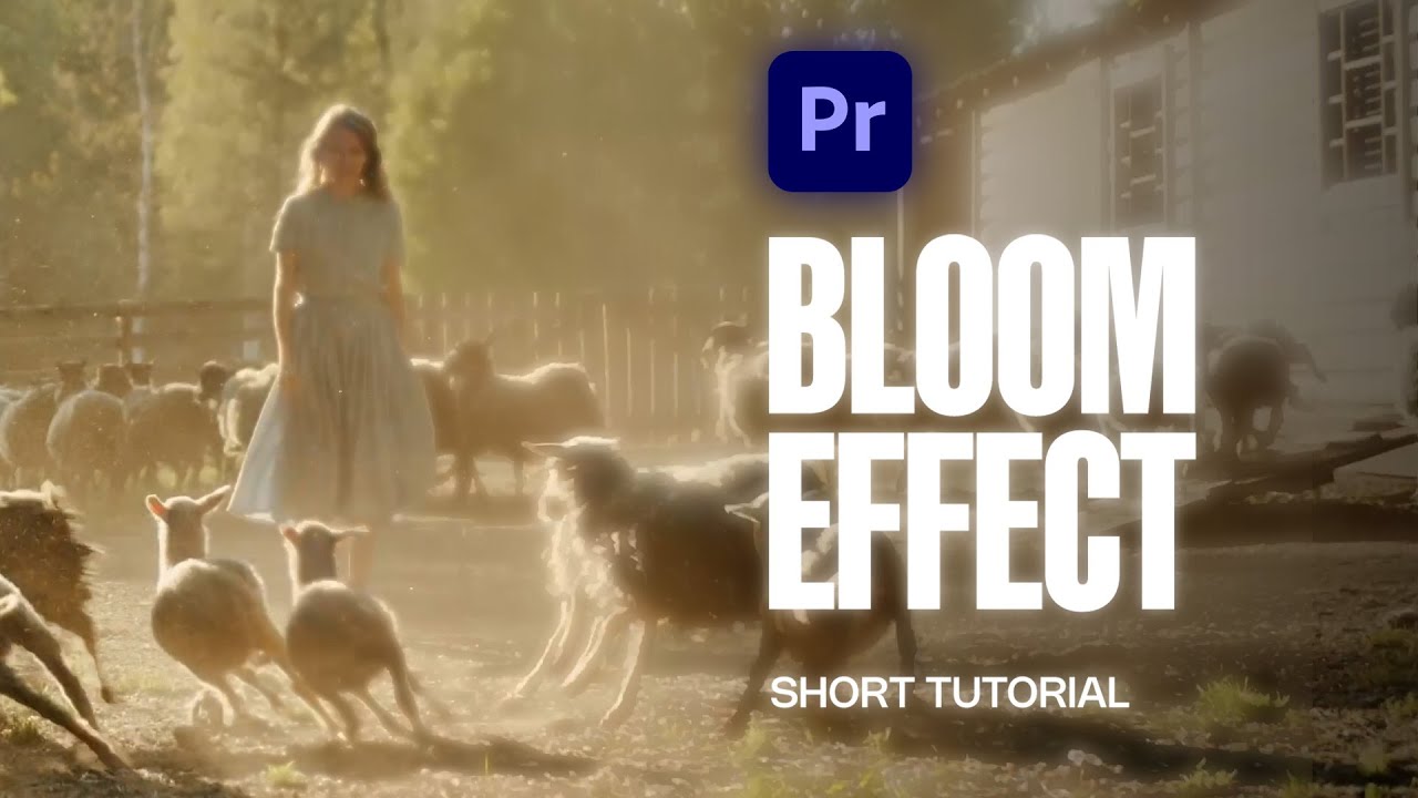 How to Add Film BLOOM Effect in Premiere Pro - YouTube
