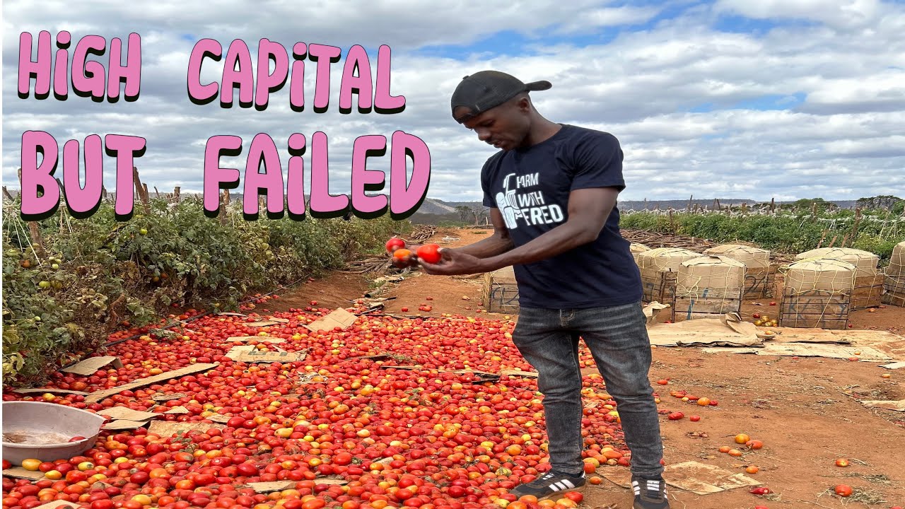 Millions of investment in a farm but the farmer failed. What happened ...