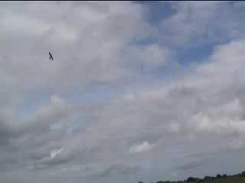 limbo dancer RC plane - YouTube