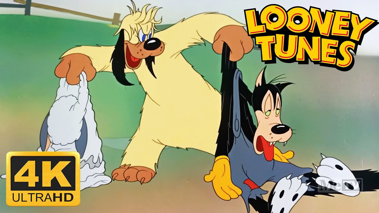 Looney Tunes - The Sheepish Wolf (1942) Remastered 4K 60FPS - YouTube