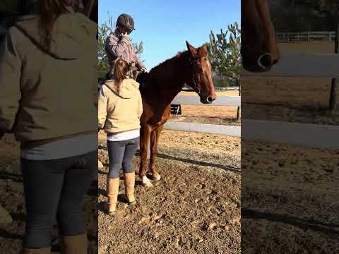 Nicole Dorenzo PATH CTRI application video - YouTube