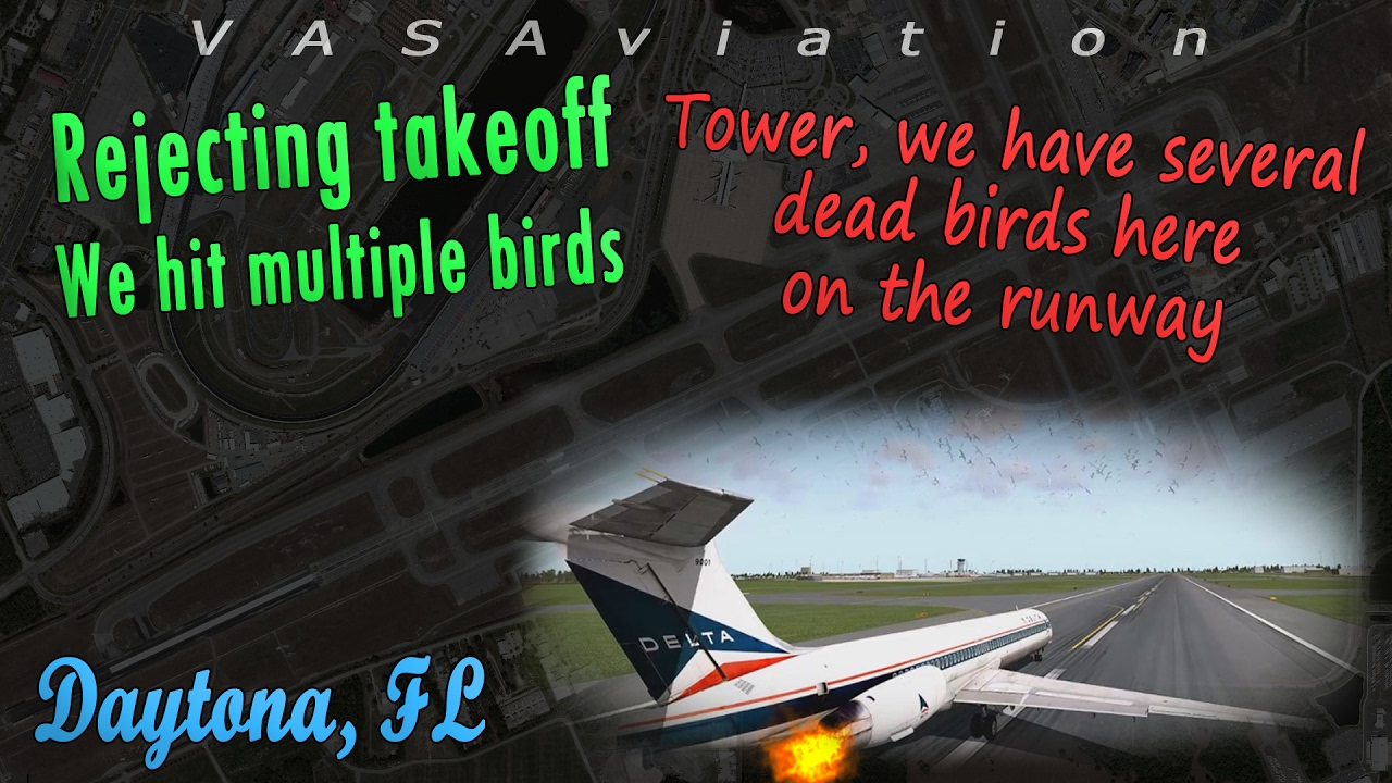 [REAL ATC] Delta MD88 BIRD STRIKE + REJECTED TAKEOFF! | RIP birds - YouTube