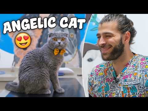 BU KEDİ TAM BİR MELEK! 😍 (Hem Sevimli Hem de Çok Utangaç!)