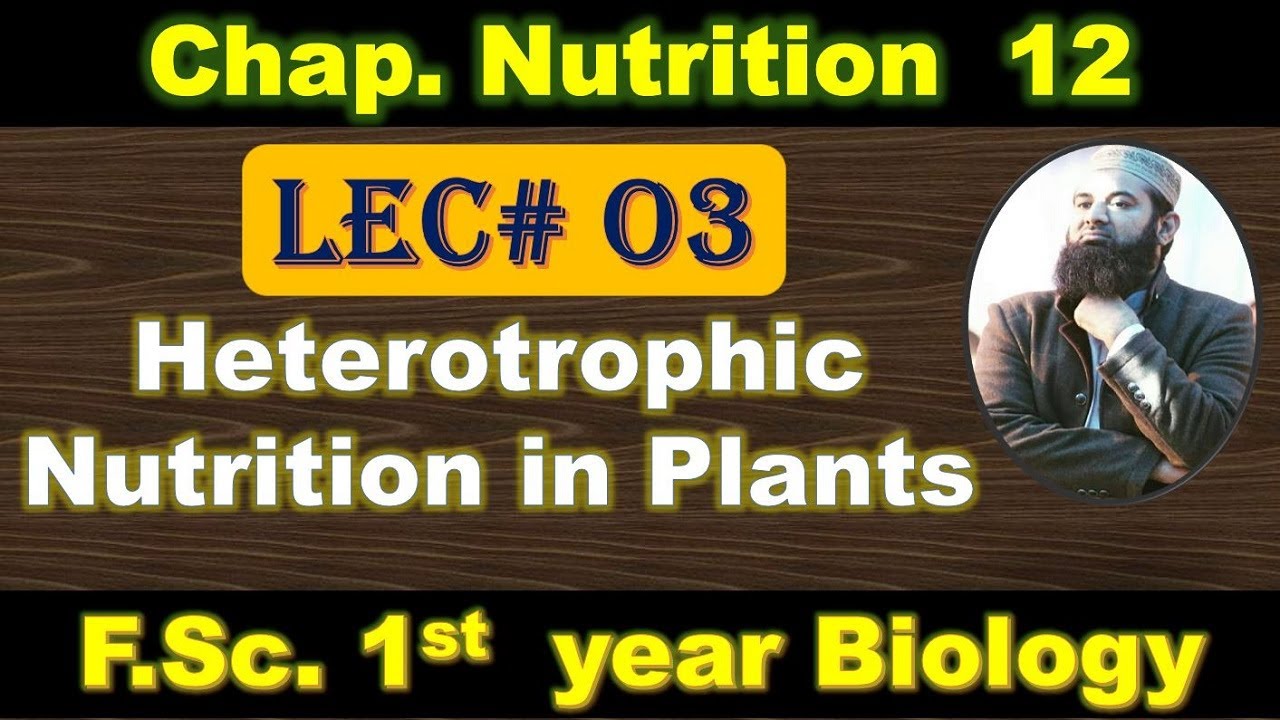 Heterotrophic Nutrition in plants I Chapter 12 I Nutrition I class 11 I ...
