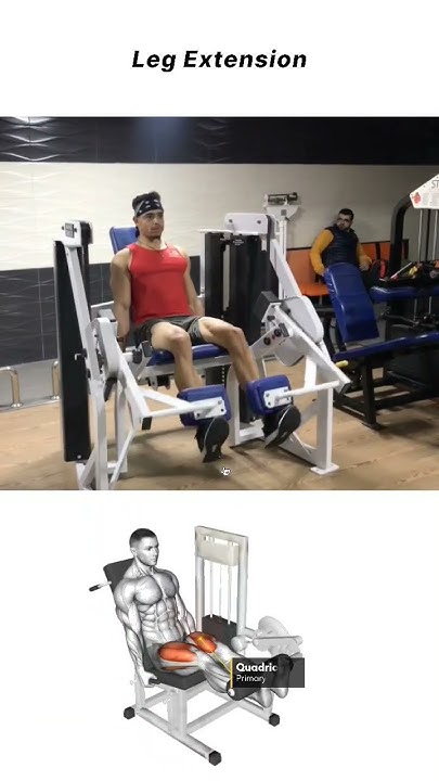 Leg Extension: Muscles Worked And Correct Technique - YouTube