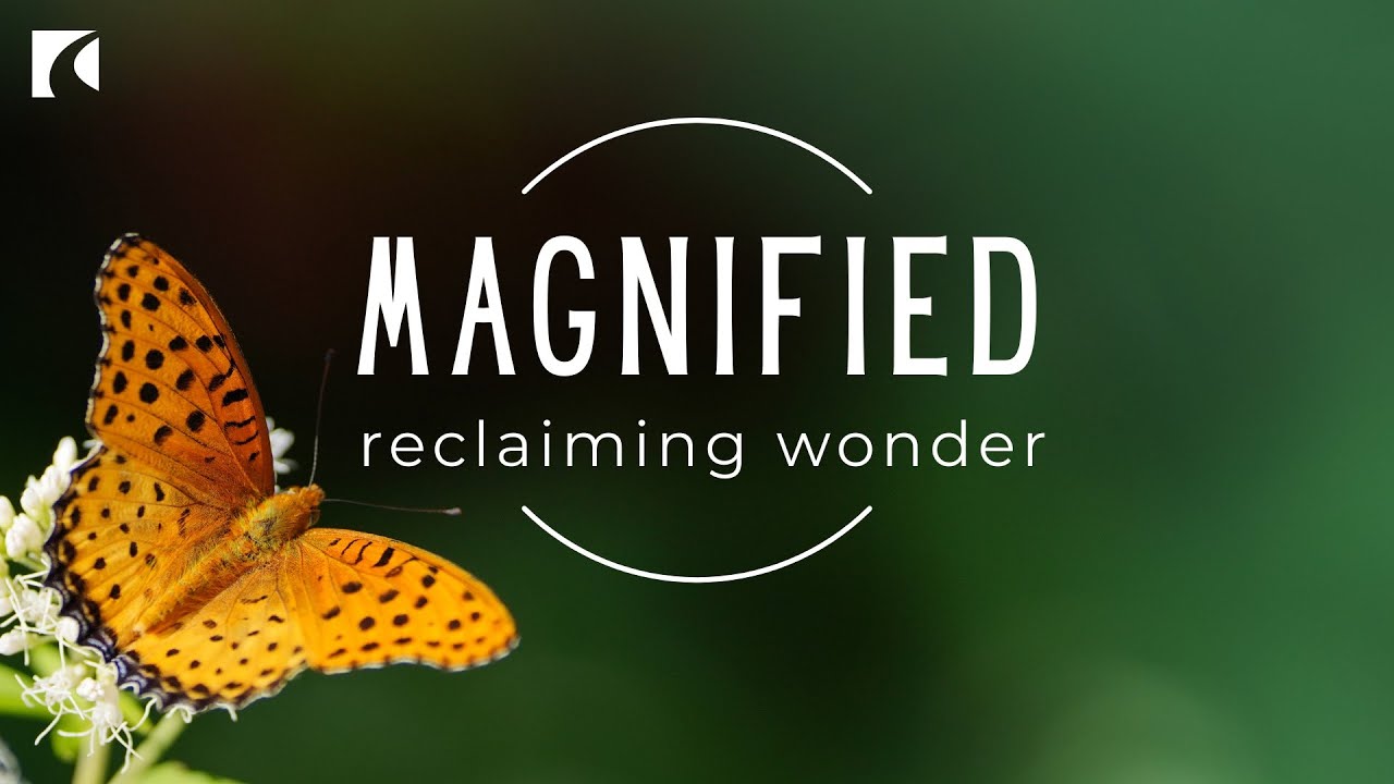 Magnified: From the grand to the ground, God sees and cares || Acts 20: ...