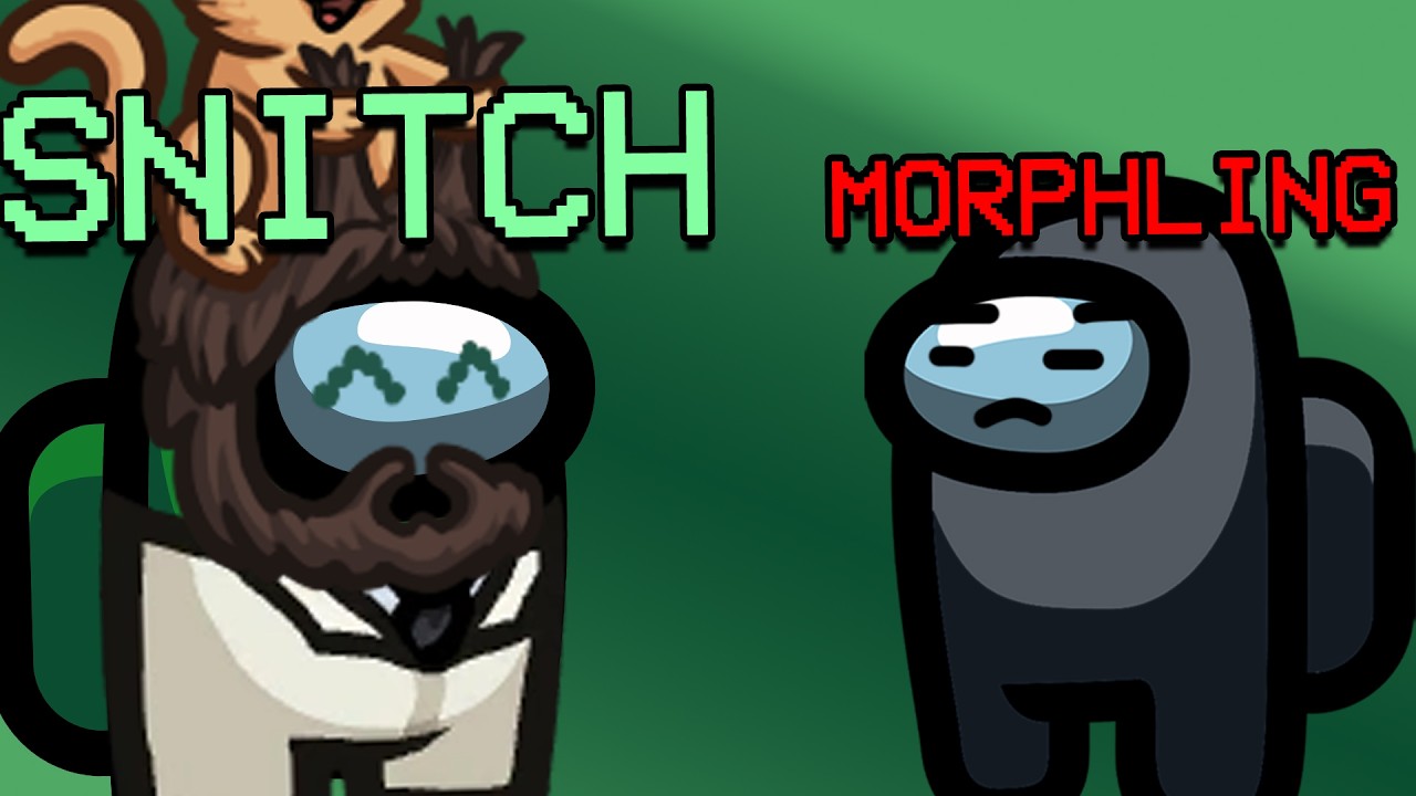 Die Snitch hat alle Infos! - YouTube