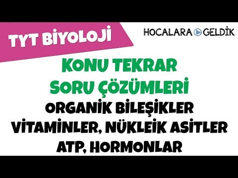 Organik Bileşikler -  Vitaminler , Nükleik Asitler, ATP, Hormonlar - Konu Tekrar Soru Çözümleri